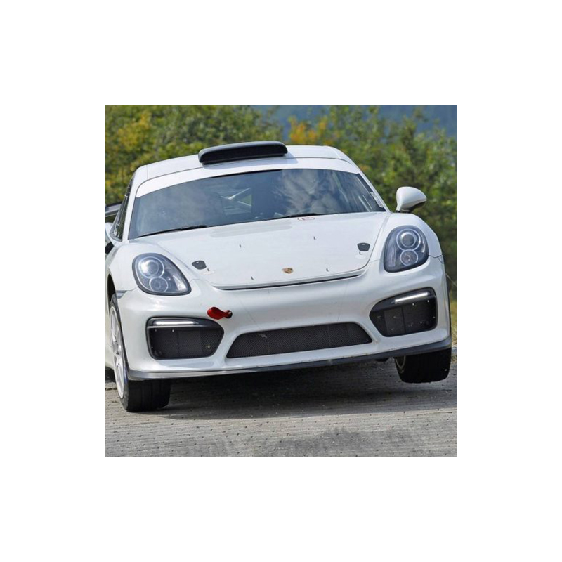 Pare-brise Polycarbonate Margard Porsche Cayman 981 - PlastiGlass ...